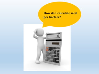 Seed rate calculation1 | PDF