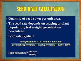 Seed rate calculation1 | PDF