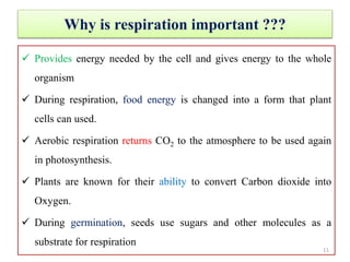 Seed respiration 2 | PPTX
