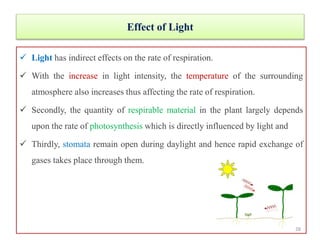 Seed respiration 2 | PPTX