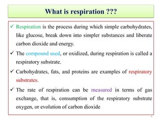 Seed respiration 2 | PPTX