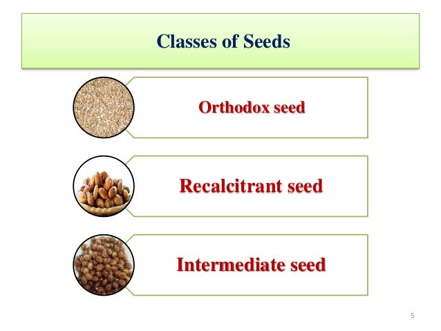 Seed respiration 2
