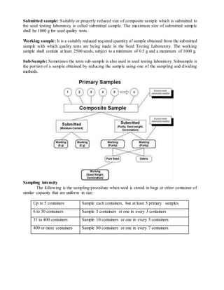 Seed sampling | DOCX