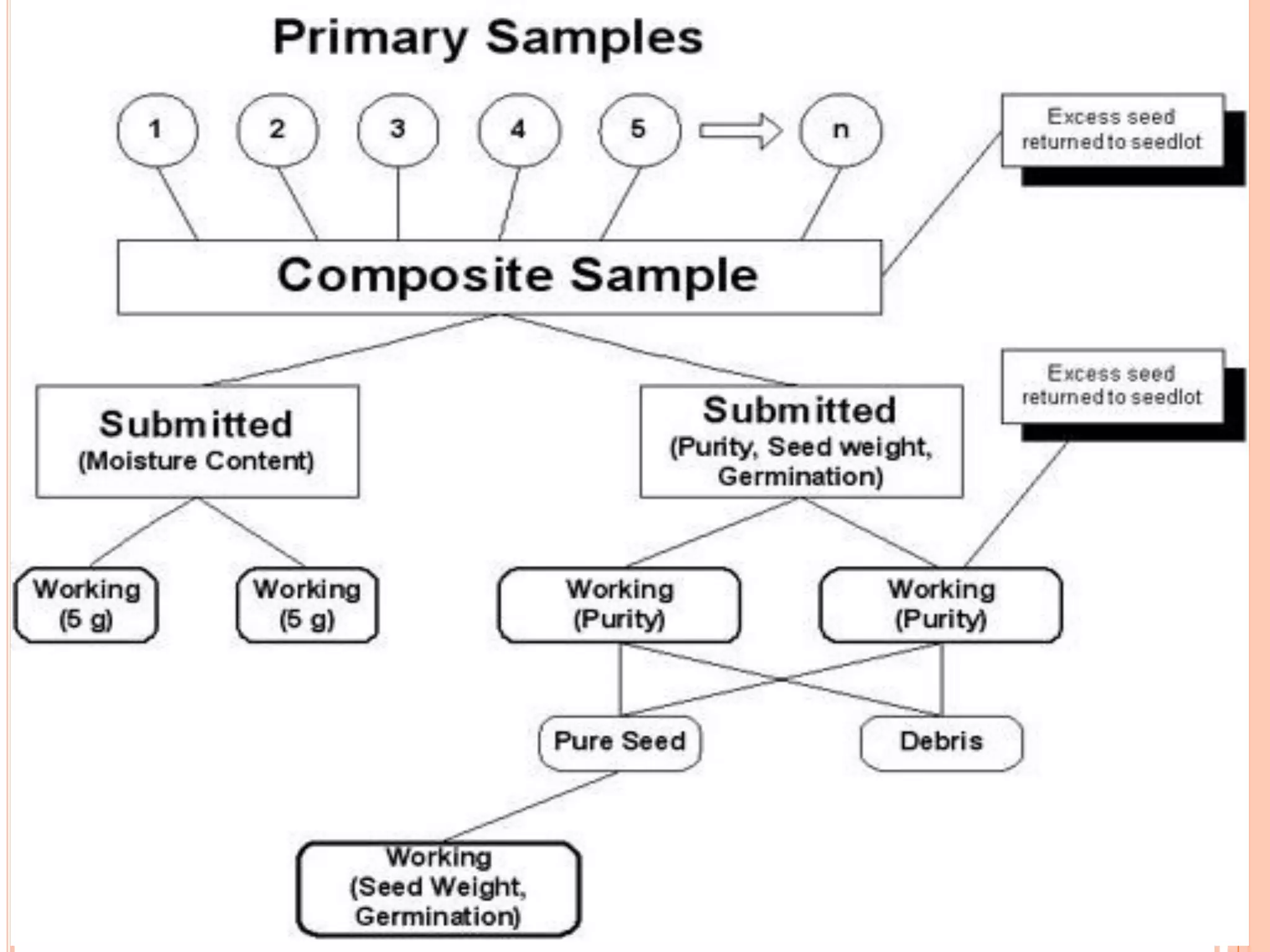 Seed Sampling Principles & Procedures.pdf