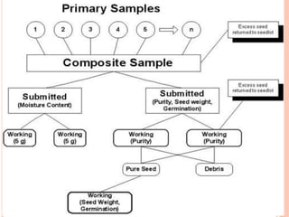 Seed Sampling Principles & Procedures.pdf