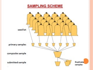 Seed Sampling Principles & Procedures.pdf
