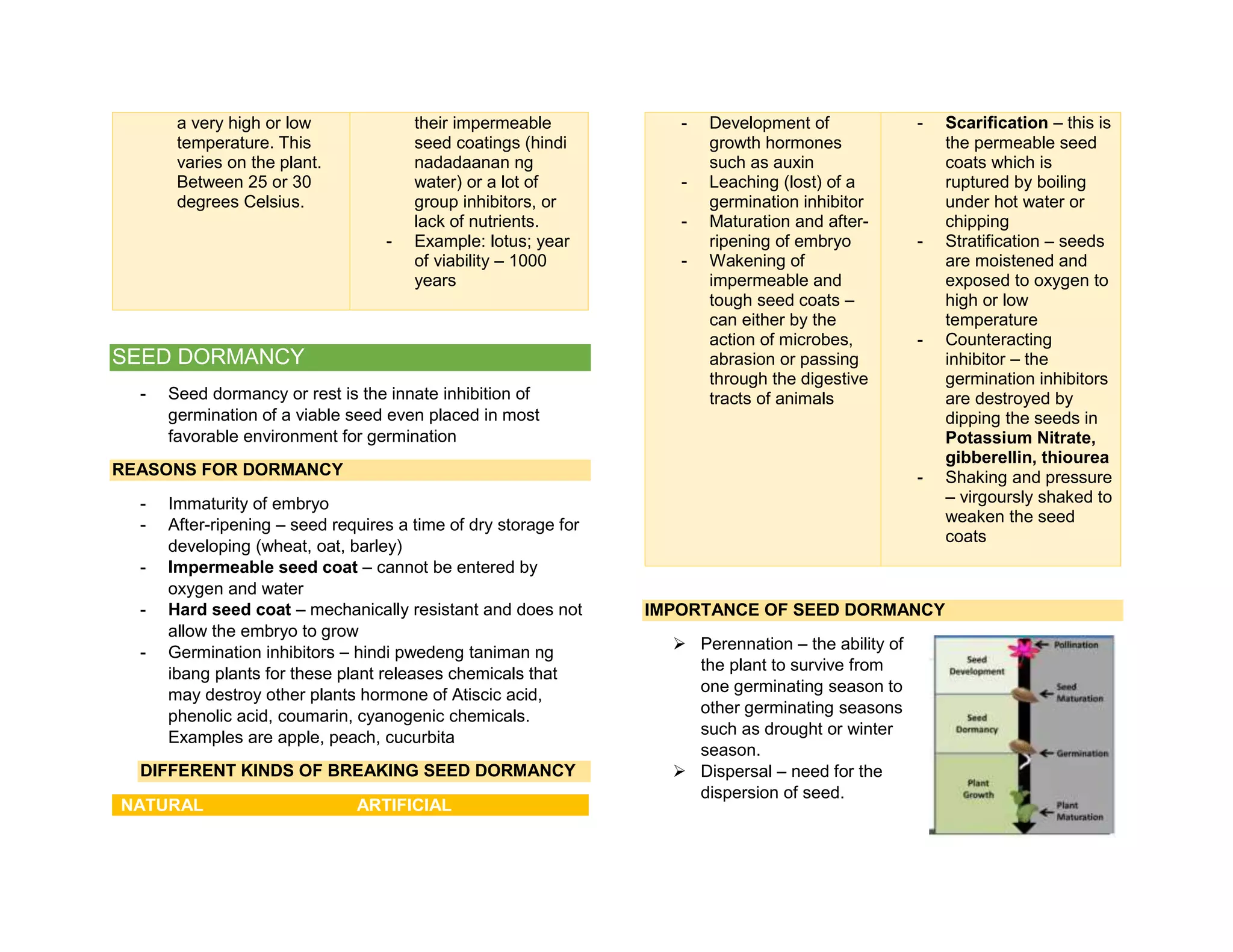 SEEDS AND FRUITS.docx