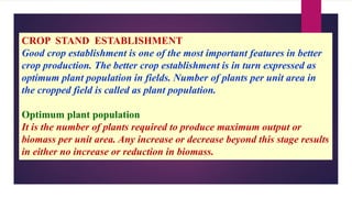 Seeds and sowing | PPTX