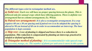 Seeds and sowing | PPTX