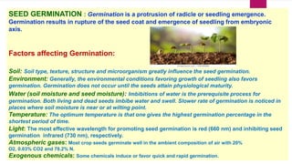 Seeds and sowing | PPTX