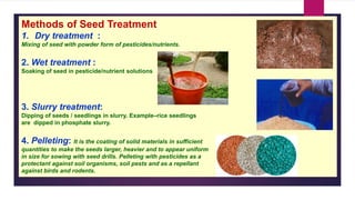 Seeds and sowing | PPTX
