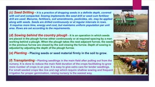 Seeds and sowing | PPTX