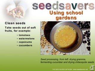 Seed Savers School Gardens | PPT