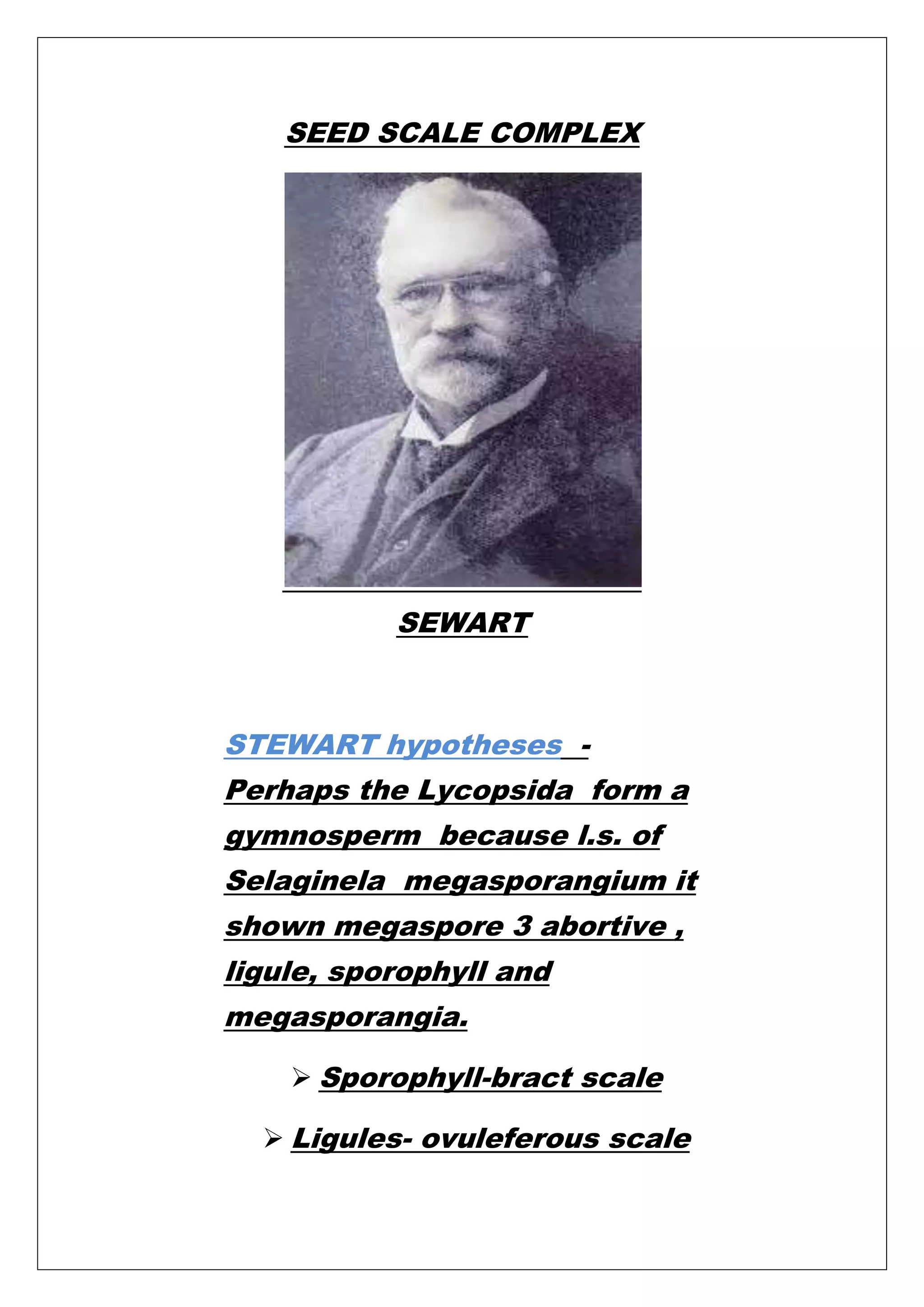 SEED SCALE COMPLEX GYMNOSPERMS | DOCX