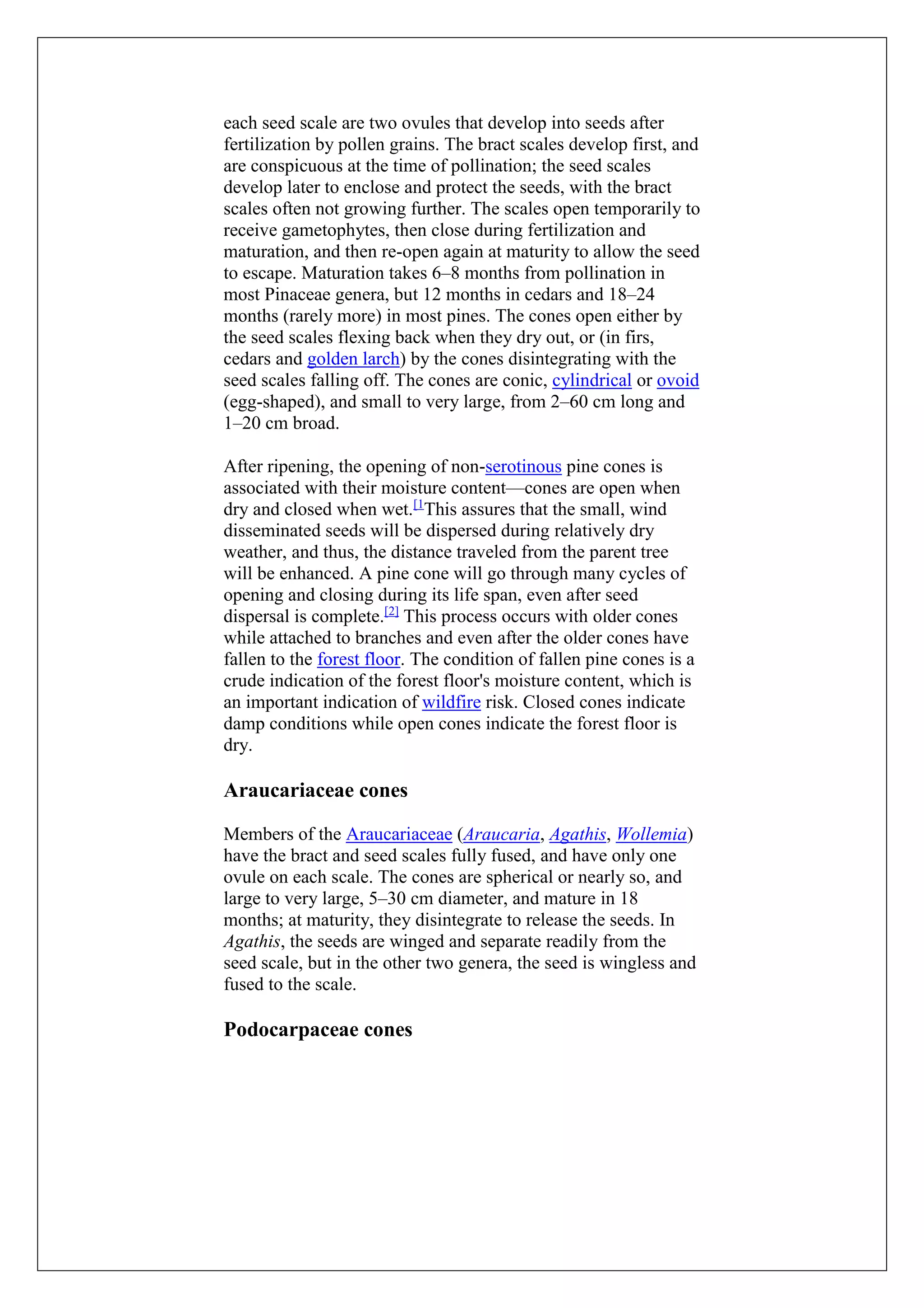 SEED SCALE COMPLEX GYMNOSPERMS | DOCX