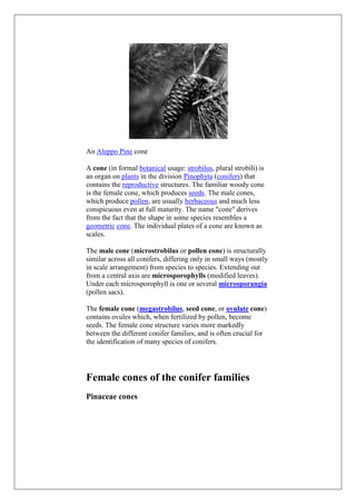 SEED SCALE COMPLEX GYMNOSPERMS | DOCX