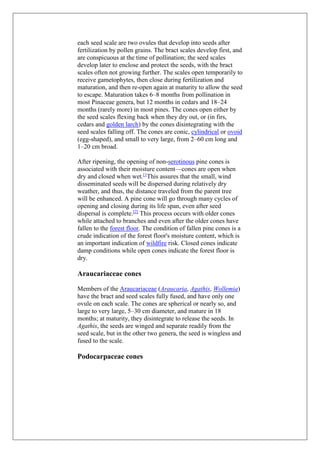 SEED SCALE COMPLEX GYMNOSPERMS | DOCX