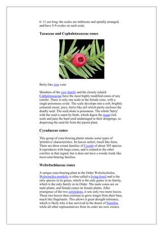 SEED SCALE COMPLEX GYMNOSPERMS | DOCX