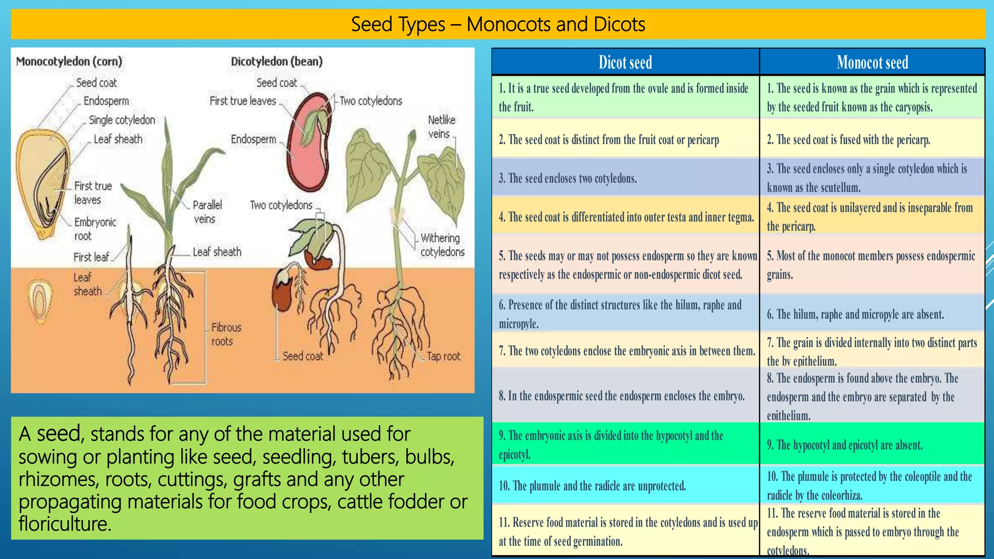 Seed science and technology - Basics | PPTX