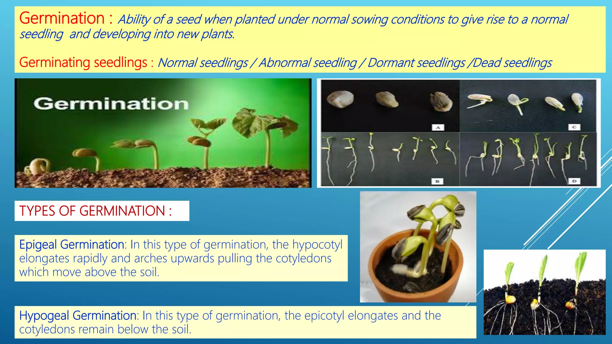Seed science and technology - Basics | PPTX
