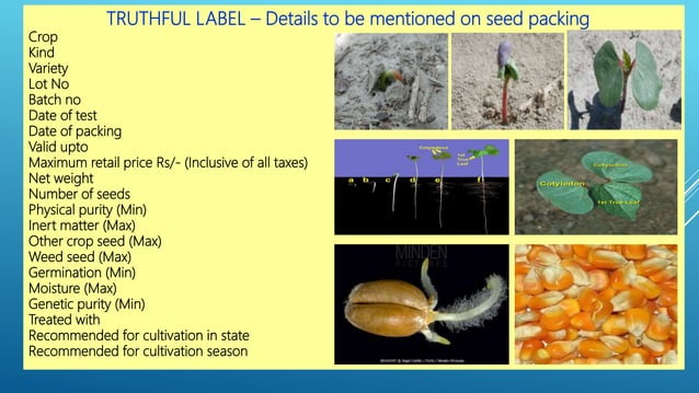 Seed science and technology - Basics | PPTX | Agriculture | Industries