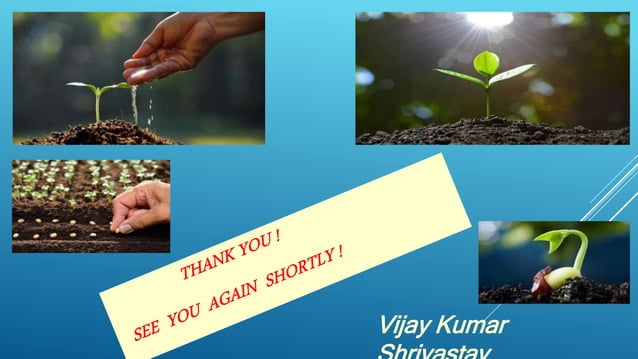 Seed science and technology - Basics | PPTX | Agriculture | Industries