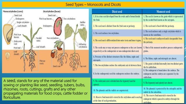 Seed science and technology - Basics | PPTX | Agriculture | Industries