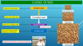 Seed science and technology - Basics | PPTX