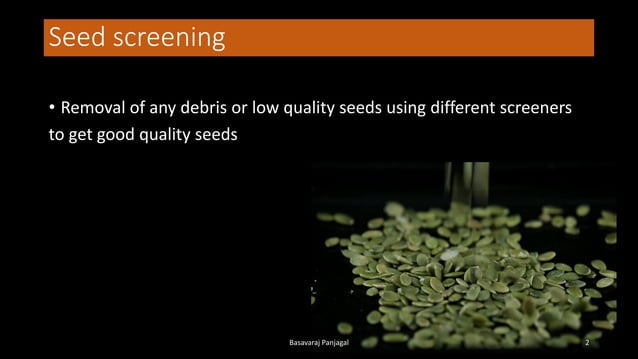 Seed screening, grading and packing | PDF | Gardening | Home & Garden