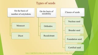 Seed sector | PPTX