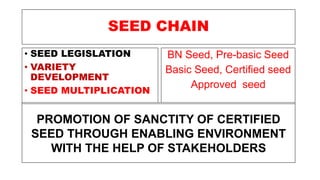 HOW TO IMPROVE SEED SYSTEM | PPTX