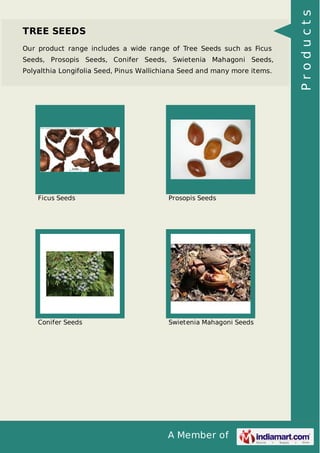 Saral Sabzaar Inc., Faridabad, Tree Seeds | PDF