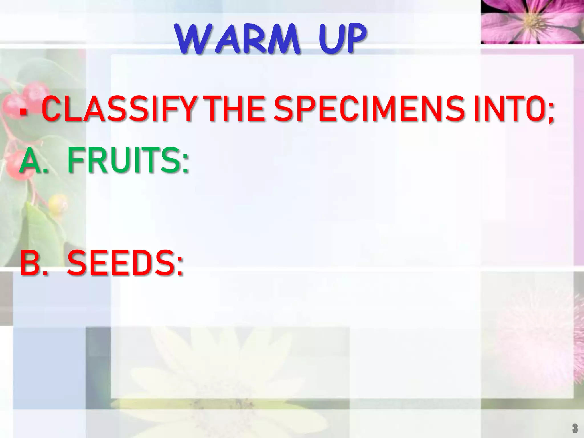 seeds & fruit.ppt