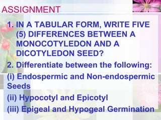 seeds & fruit.ppt