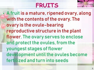 seeds & fruit.ppt