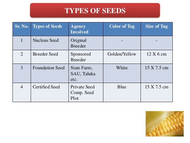 Seeds industry and Seeds industry scenario in India