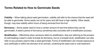 Seed Sowing made Easy, by Joann Darling | PPTX