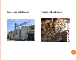 Seed storage | PPTX