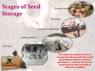 Seed storage | PPTX