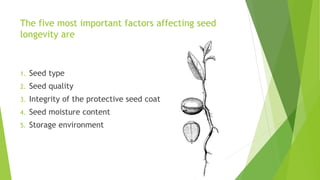 Seed storage and maintenance | PPTX