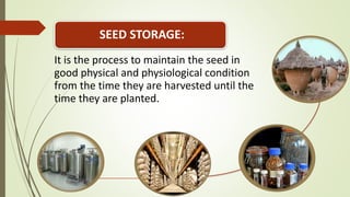 Seed storage and types.pptx