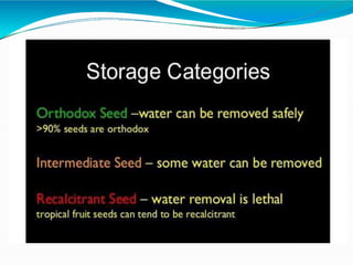 Seed Storage PPT.pptx
