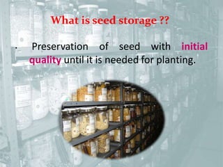 Seed Storage PPT.pptx