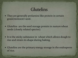 seedstorageprotein.pptx