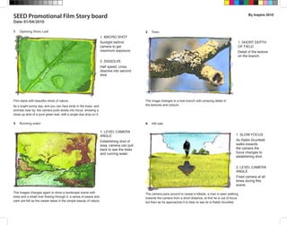 Seed Storyboard | PDF