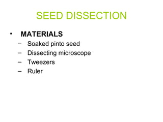 Seed structure | PPT
