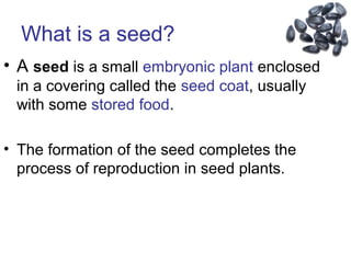 Seed structure | PPT