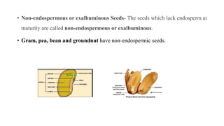 seed structure.pptx