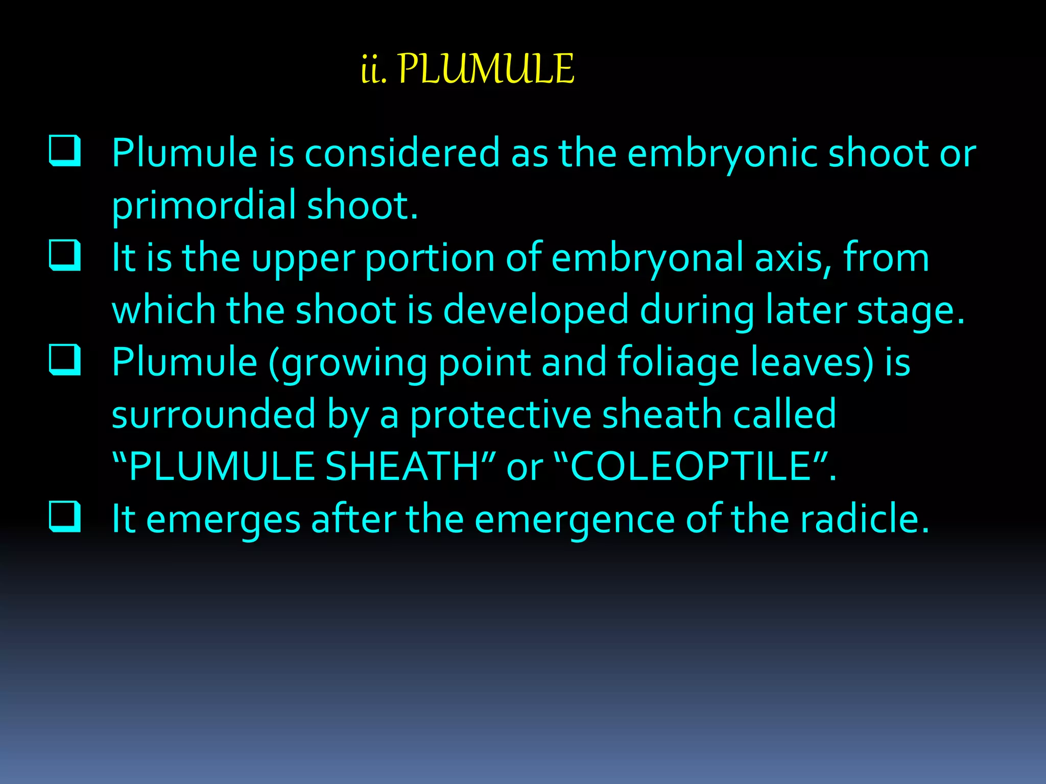 SEED STRUCTURE.ppt