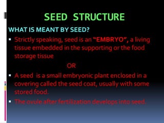 SEED STRUCTURE.ppt
